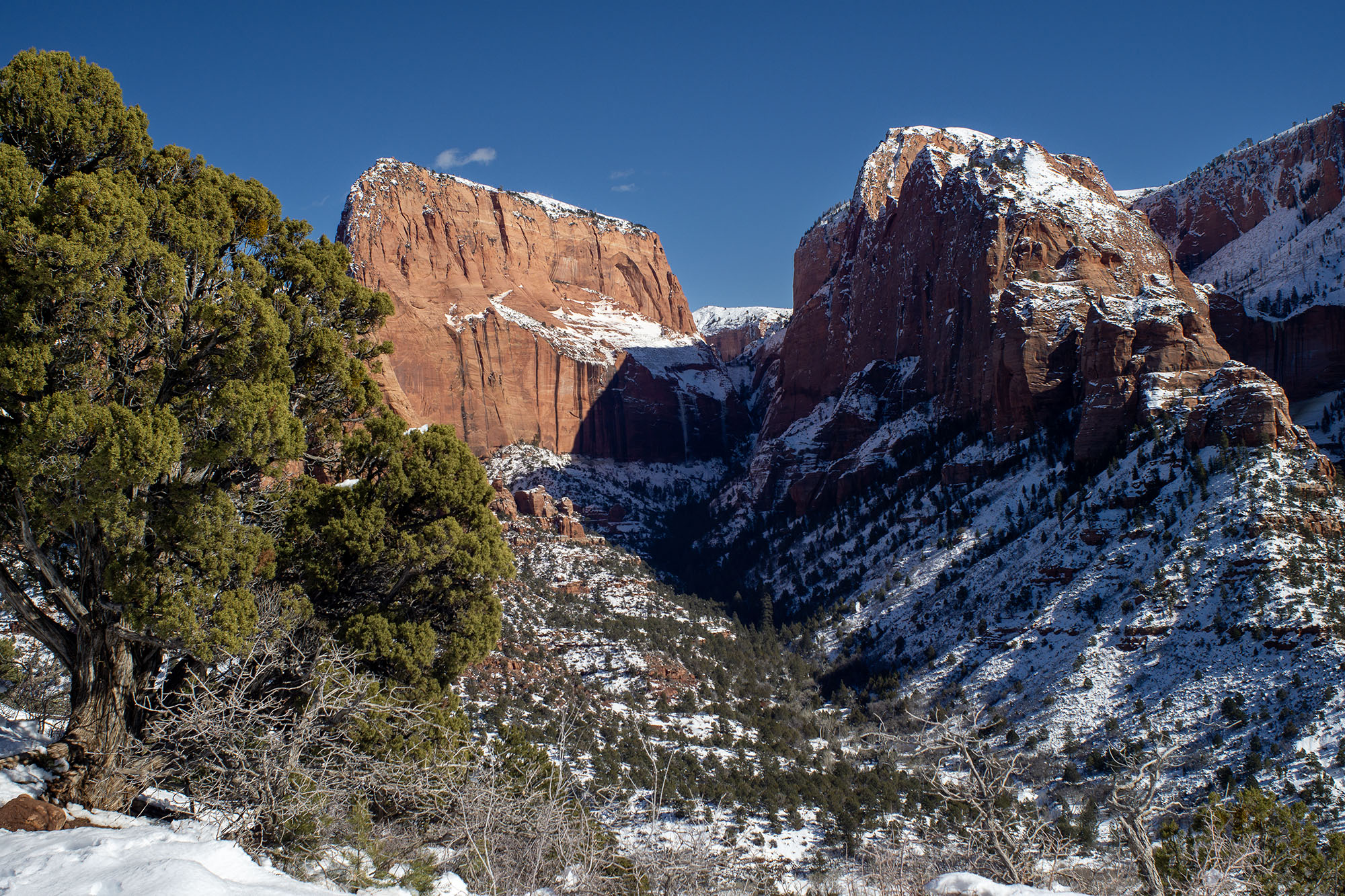 Legacy Lens Review: Super-Takumar 28mm f3.5 - The Noisy Shutter