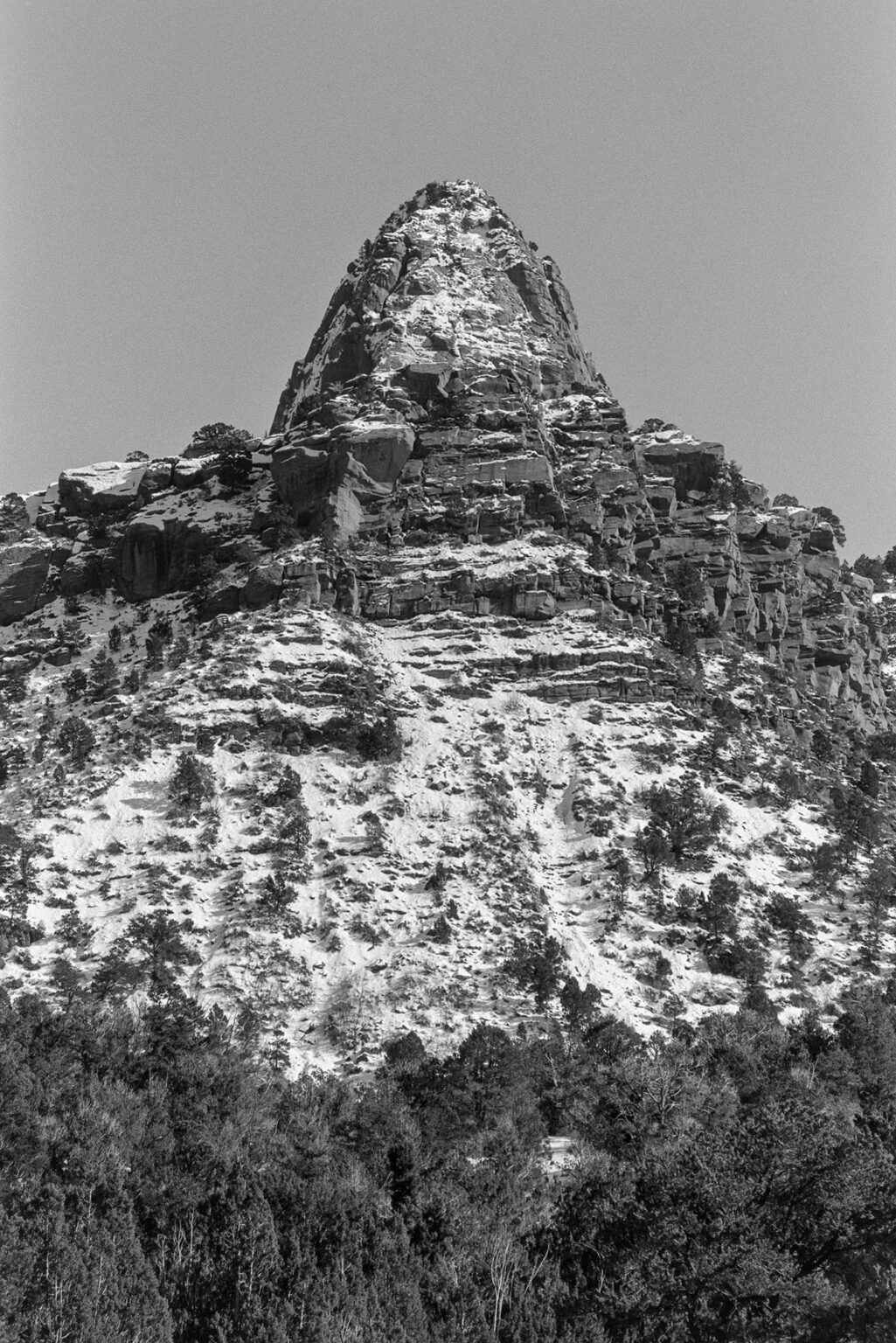 Classic Camera Review: Pentax Spotmatic F - The Noisy Shutter