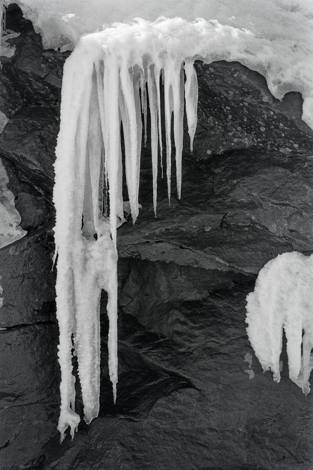 Classic Camera Review: Pentax Spotmatic F - The Noisy Shutter