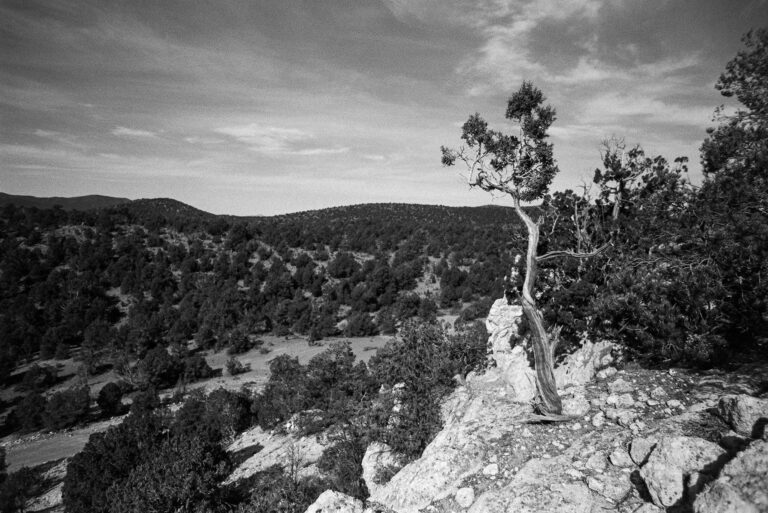 Classic Camera Review: Canon EOS Elan 7E - The Noisy Shutter